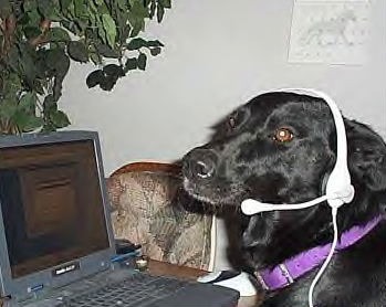 Yeah man it's part of the EMU (expanded meme universe) - #255973030 ...