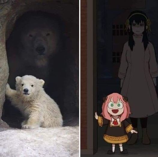 shaker obtainable distinct