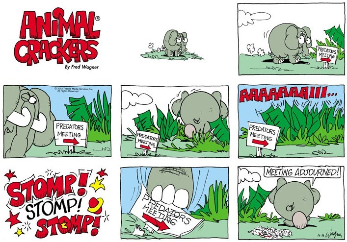 specific decisive meek