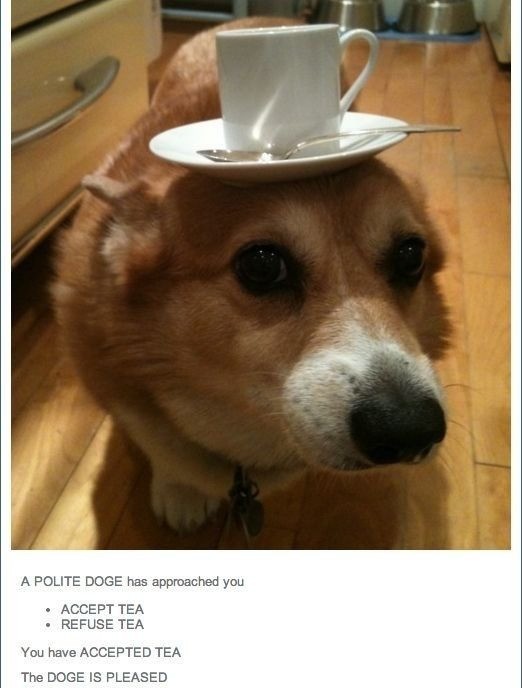 Tea?